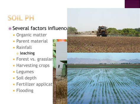 PPT Understanding Soil Chemistry PowerPoint Presentation Free Download ID