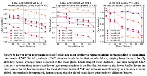 2021 Do Vision Transformers See Like Convolutional Neural Networks