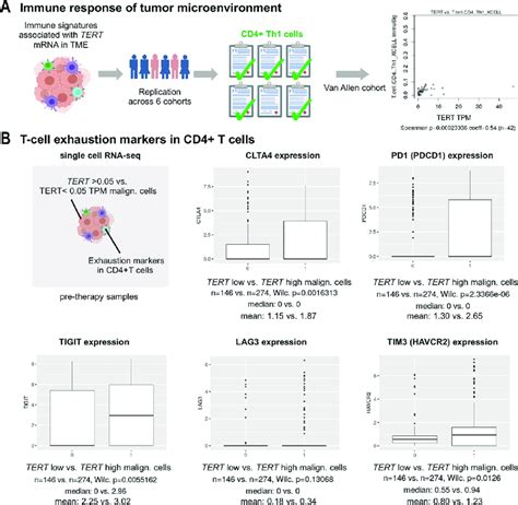 Tert Expression And Immune Signatures A Five Out Of Six Cohorts Download Scientific Diagram