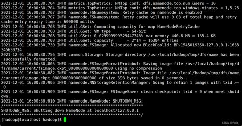 大数据 安装 hadoop3 1 3 详细教程 单机 伪分布式配置 centos cent0s7 hadoop3 1 3 伪分布式模式安装