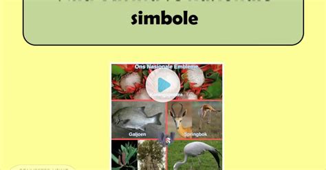 Suid Afrika Se Nasionale Simbole Automatevideo