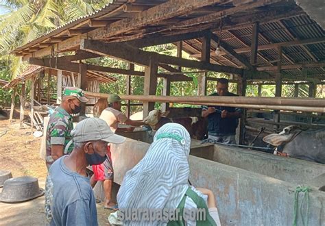 Vaksinasi Booster PMK Di Wilayah Pedukuhan 3 Dan 4 Kanoman