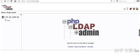 Docker部署openldap 知乎