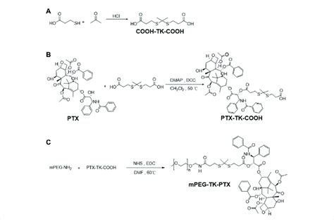 The Synthesis Routs Of Tk A Ptx Tk Cooh B And Mpeg Tk Ptx C