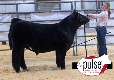 The Buff Branding Steers Top Ring The Pulse
