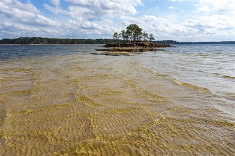 Sam Rayburn Reservoir Texas Worldatlas