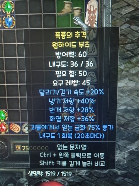 레지 삥부츠 감정부탁드려요 디아블로2 득템and자랑 게시판 디아블로2 인벤