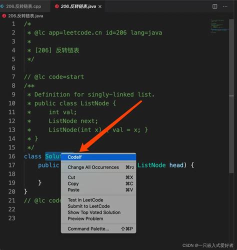 变量命名神器codelfcodelf网页版 Csdn博客