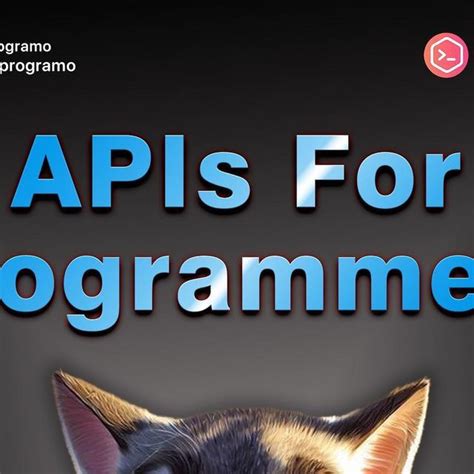 Learnprogramo Coding Programming • 100k On Instagram Learn