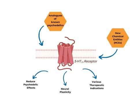 Targeting The 5 Ht2a Receptor