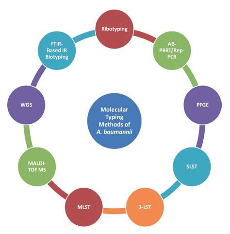 Molecular Epidemiology And Molecular Typing Methods Of Acinetobacter Baumannii Saudi Medical