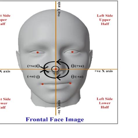 Shows The 2d Rotational Axis Distribution For Head Pose Estimation