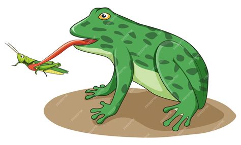 Premium Vector A Frog Trying To Catch A Grasshopper With Its Tongue