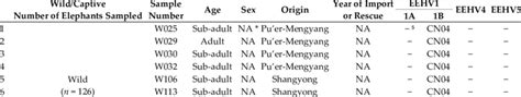 Age Sex Origin And Eehv Strains Of The Elephants That Tested Eehv Download Scientific