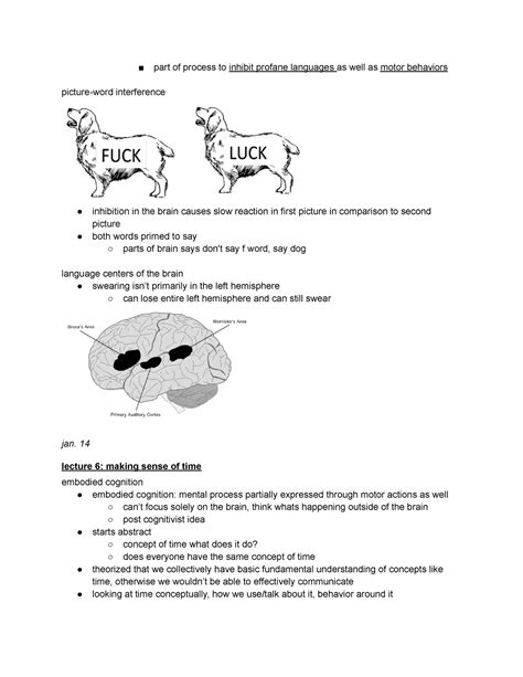 Cogs 1 Intro To Cognitive Science Lecture 11 11 Part Of Process To