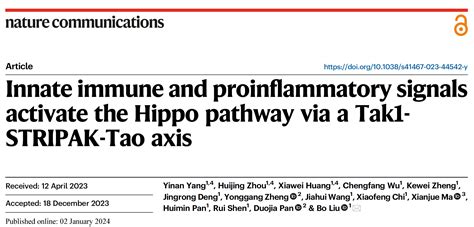 刘波课题组揭示先天免疫信号及炎性信号激活hippo信号通路的新机 生物通