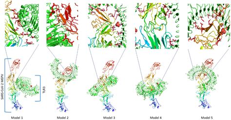 Implementation Of Immuno Chemoinformatics Approaches To Construct Multi Epitope For Vaccine