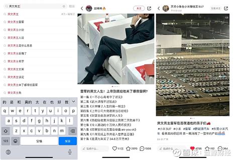 《重生之我是爽文男主雷军》：卖车是销冠直播是顶流，所有老板在“模仿”我 爽文男主雷军从他海湾蓝色的 小米 Su7下车，开启了小米汽车开售后的
