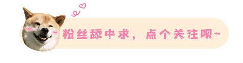 「软路由踩坑指南」esxi 80虚拟机必备知识与保姆级安装过程