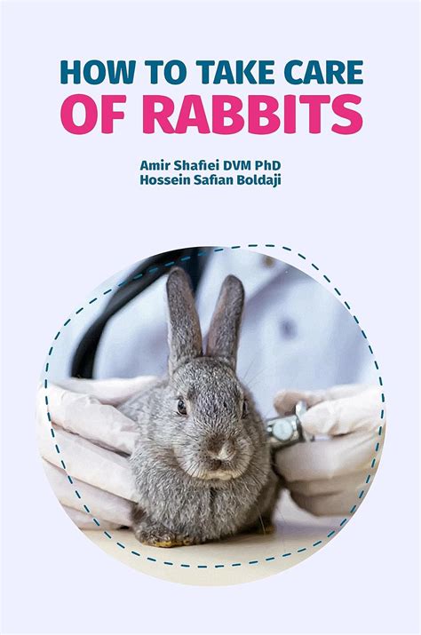 How To Take Care Of Rabbits Kindle Edition By Dvm Phd Amir Shafiei