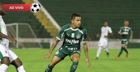 Guarani PAR X Palmeiras Ao Vivo Saiba Como Assistir Online E Na TV Pela Libertadores