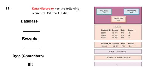 Solved 11 Data Hierarchy Has The Following Structure Fill Chegg Com