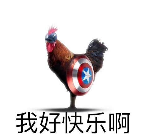你是亚里士多德的妹妹珍妮玛士多嘛？