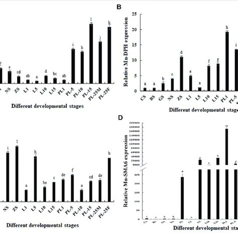 Expression Analysis Of Four Differentially Expressed Genes Degs