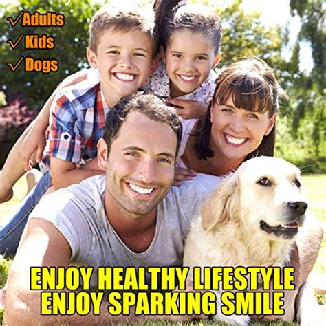 Dental Tools 6 Pack Teeth Cleaning Tools Stainless Steel 67560 Off