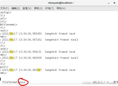 网络安全——利用ssrf操作内网redis写入计划任务反弹shellssrf怎么用redis写shell Csdn博客