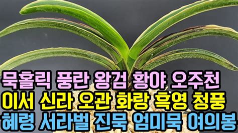 묵홀릭 명품풍란 왕검 황야 오주천 이서 신라 오관 화랑 흑영 청풍 혜령 서라벌 진묵 엄미묵 여의봉 풍란부귀란 꽃밭에서 난원