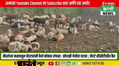 मेंढरांच्या कळपातून चोरट्यांनी केले कोकरू लंपास कोथळी येथील घटना