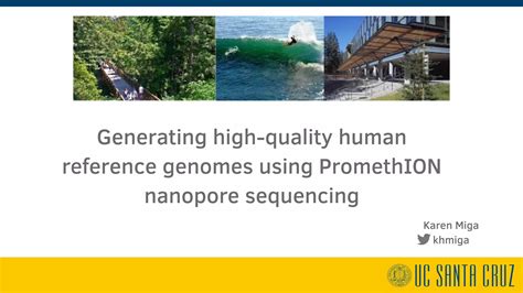 generating high quality human reference genomes using promethion nanopore sequencing ppt