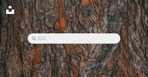 트리 Trree 사진 Unsplash에서 무료 이미지 다운로드