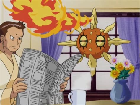 Image Solrock Flamethrowerpng Pokémon Wiki Fandom Powered By Wikia