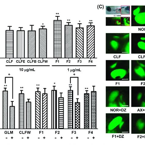 Inhibition Effect Of Extract Solvent Fractions And Flavonoids 1 4