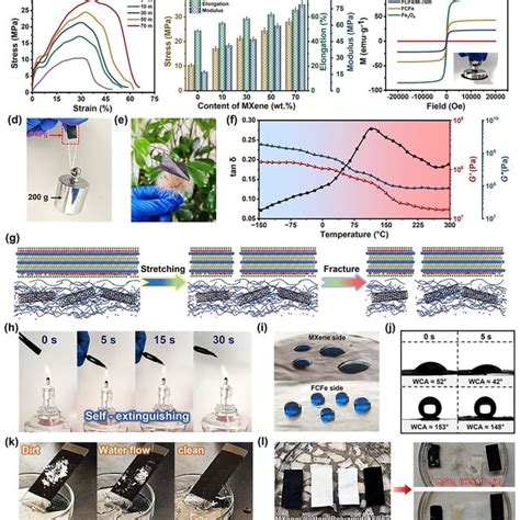 Pdf Multifunctional Janus Structured Polytetrafluoroethylene Carbon
