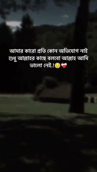 আমার কারো প্রতি কোন অভিযোেগ নাইশুধু আল্লাহর কাছে বলবো আল্লাহ আমি ভালো
