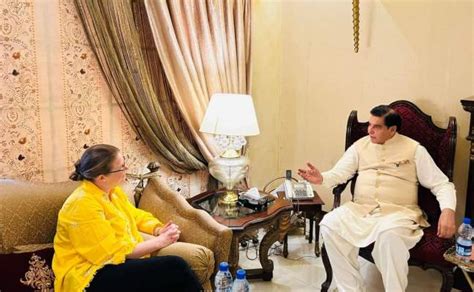 London Raja Parvez Ashraf Meets With British Political Consul Miss Zoe Ware Pothwar News