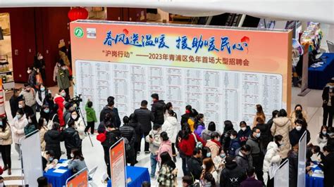 3500余个优质岗位！上海青浦兔年首场大型招聘会人气火热暖心帧澎湃新闻 The Paper