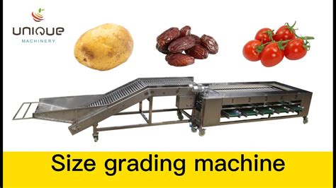Fruit And Vegetable Size Grading Machine Plam Dates Grader Youtube