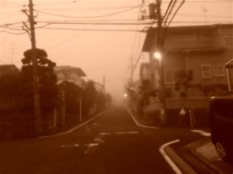 山岡保の横浜一元気なブログ 霧にむせぶ朝
