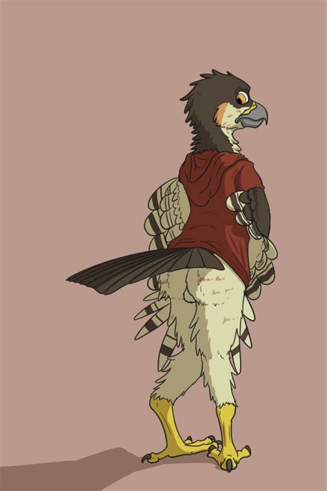 Rule 34 2019 4 Toes Accipiter Accipitrid Accipitriform Anisodactyl