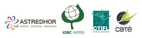 Meetings Iobc Wprs