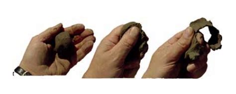 Soil Texture Analysis Gardening For Beginners