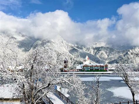 成都西岭雪山一日游私家团（世界自然遗产，市区接送，独立成团）