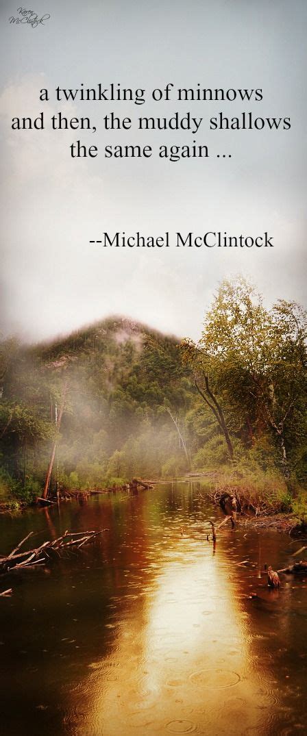 Haiku Poem A Twinkling Of Minnows By Michael Mcclintock Poetry Art