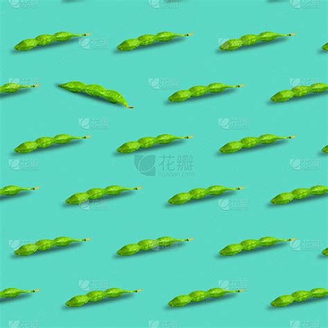 毛豆或大豆荚模式孤立在绿松石背景
