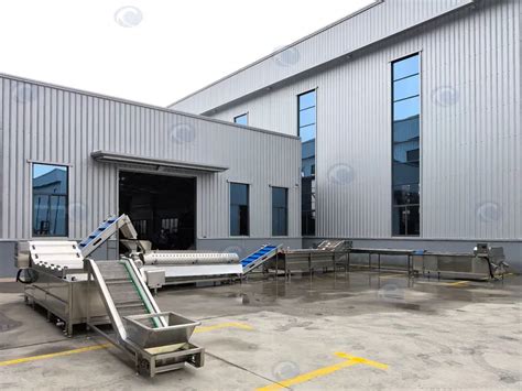 Automatic Chicken Feet Processing Line Manufacturer And Supplier