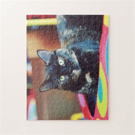 Cute Tortoiseshell Cat Kitten Portrait Jigsaw Puzzle Zazzle